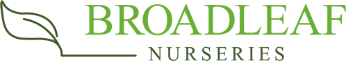 Contact - Broadleaf Nurseries